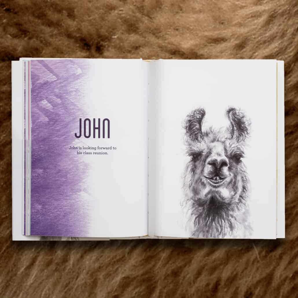 ¿Como te Llamas? Book of Llama Illustrations by Kristin Llamas - K ...